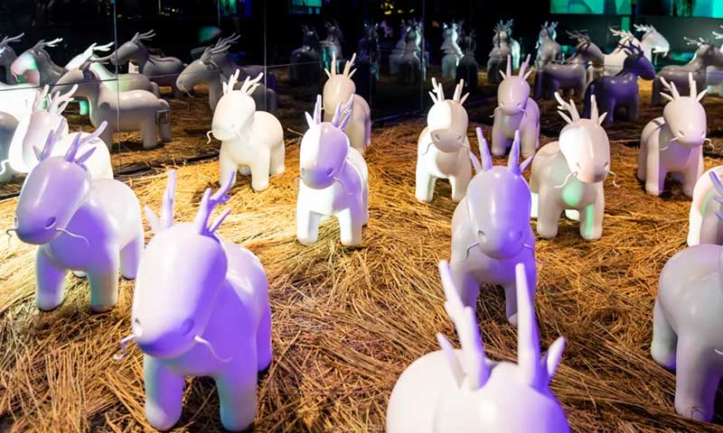 国潮IP小龙马「DC」梦幻主题展览活动策划治愈力爆表！ - 会展活动策划CCASY.COM