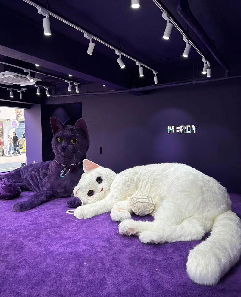 Nerdy首尔巨喵快闪店活动策划瞬间点燃你的少女心 - 会展活动策划CCASY.COM