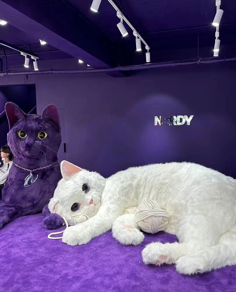 Nerdy首尔巨喵快闪店活动策划瞬间点燃你的少女心 - 会展活动策划CCASY.COM